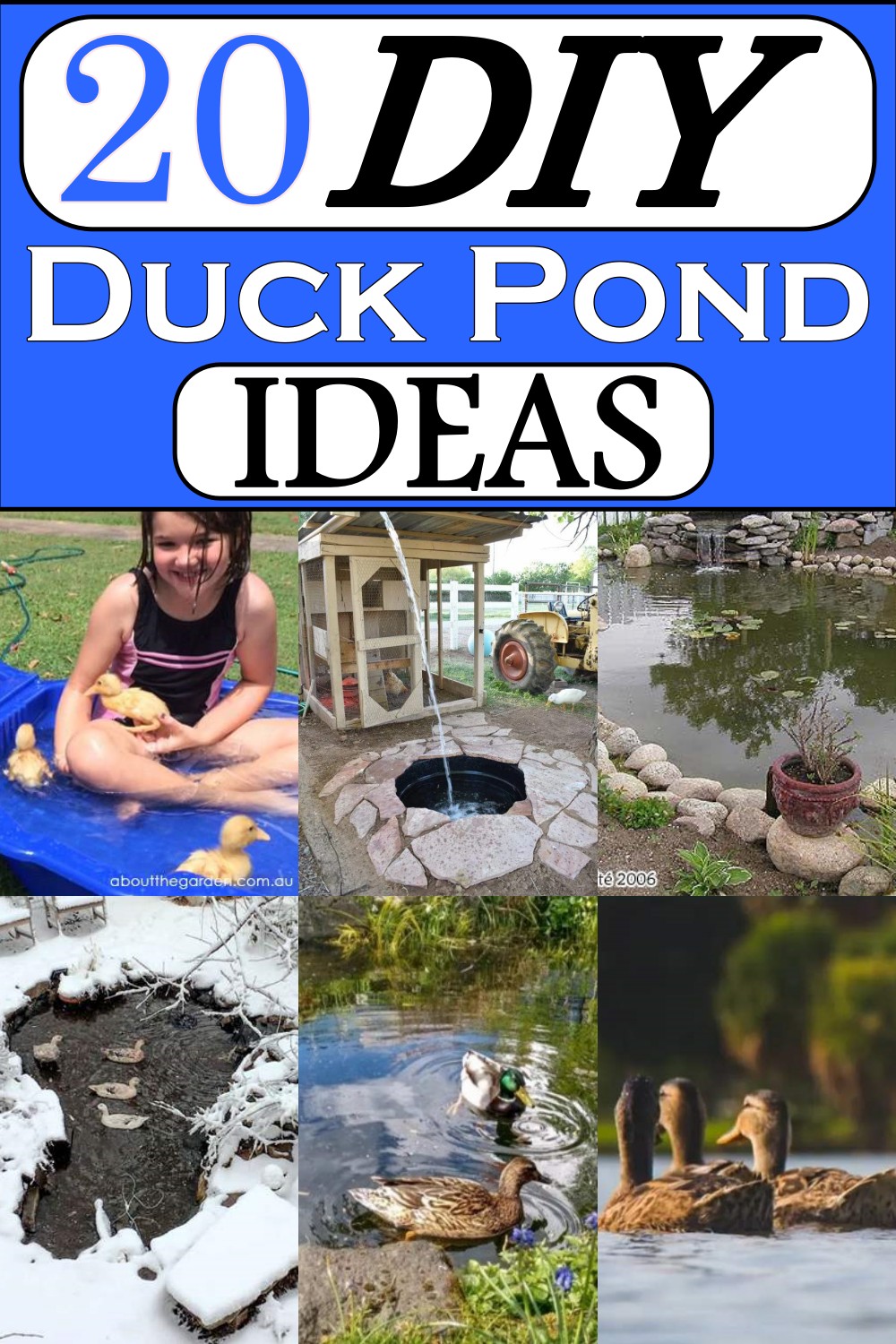 20 DIY Duck Pond Ideas For Backyard Craftsy 20 DIY Duck Pond Ideas For Backyard Craftsy